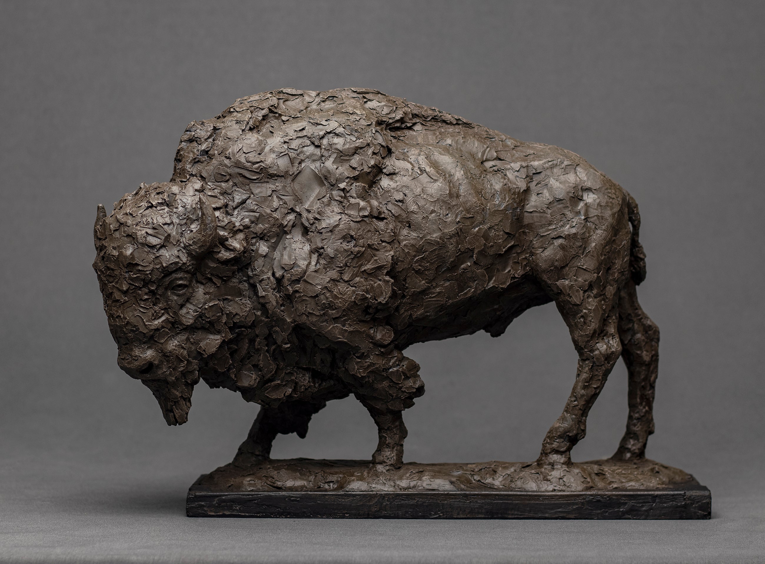 5. Bison – GO Gallery